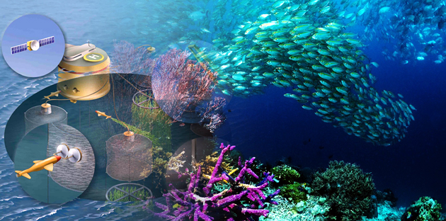 Career in Fisheries, Aquaculture