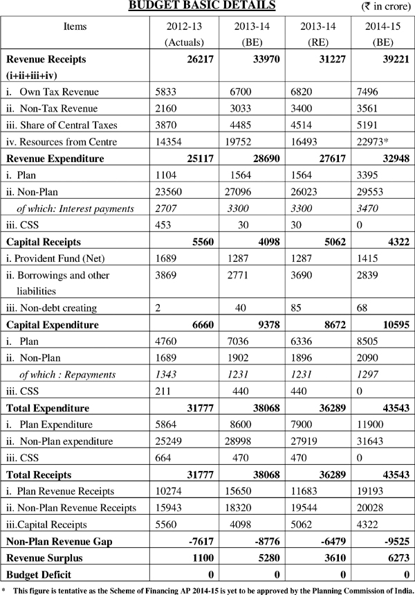 Budget basic details