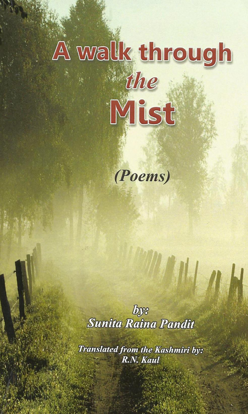 “It matters not that my home is destroyed” - Daily Excelsior