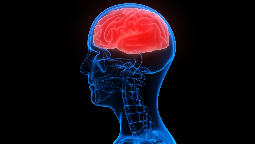Genetic risk factors for brain cancer differ in men, women - Daily ...