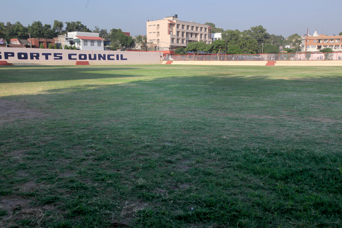 Deserted Parade Football Stadium turns grassy, picturesque - Daily ...