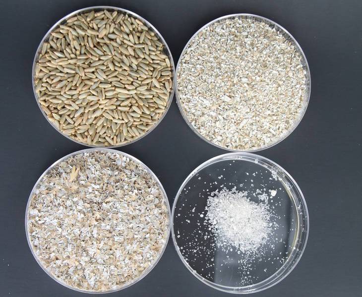 Bran extracts may help preserve healthy food with natural ingredients