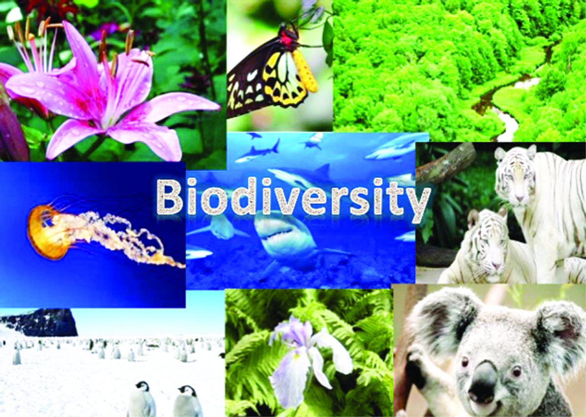 Celebrating biodiversity - Jammu Kashmir Latest News | Tourism ...