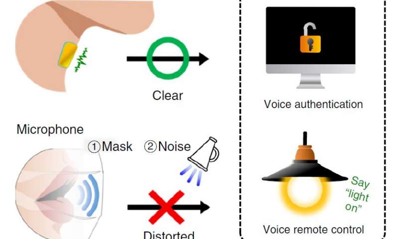 Wearable sensor can accurately recognise your voice - Daily Excelsior