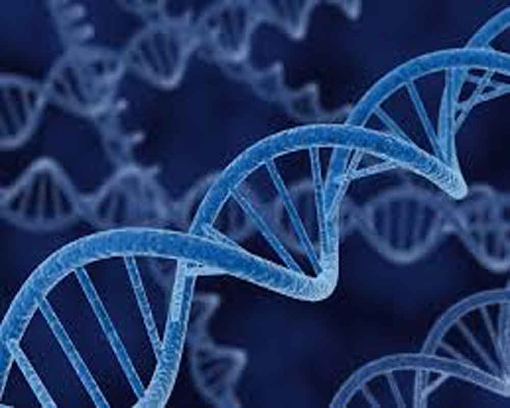 World's first gene-edited babies may be at early death risk: Study ...