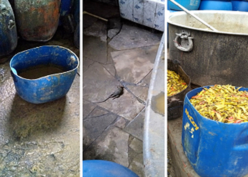 Unhygienic and insanitary conditions at manufacturing unit of M/S Daily ...