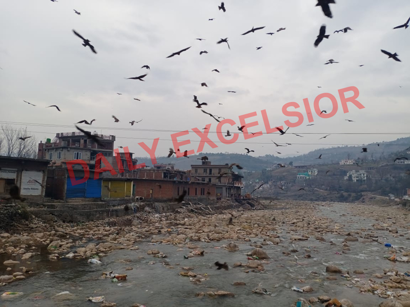 Birds flying over river Mendhar. -Excelsior/Rahi Kapoor - Jammu Kashmir ...