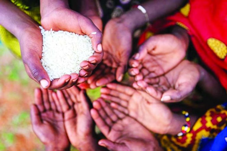 Food insecurity, malnutrition, poverty may escalate in developing world ...