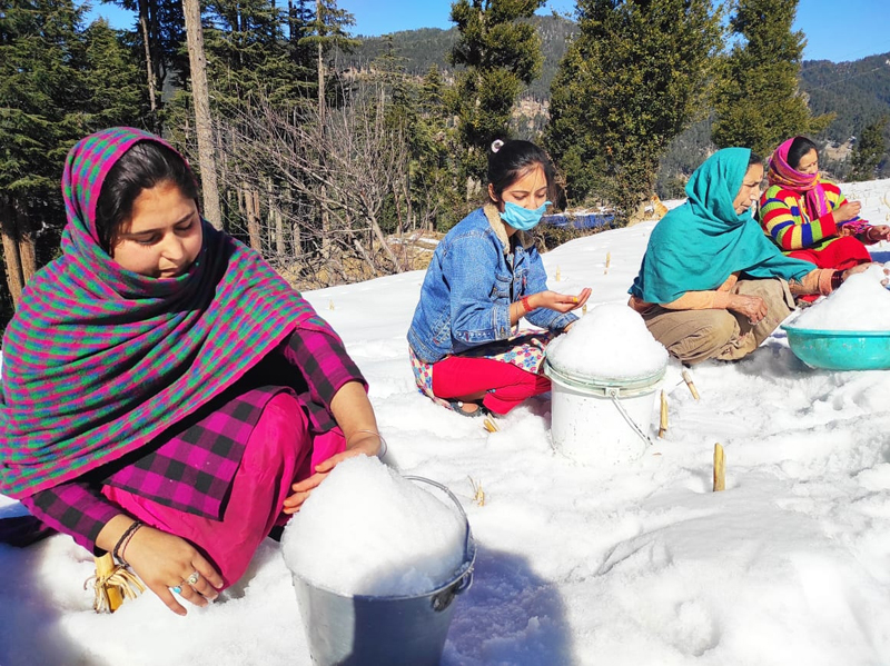 Residents collecting snow to boil it for water. —Excelsior/Tilak Raj ...