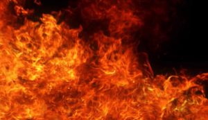 Two shops gutted in fire - Daily Excelsior
