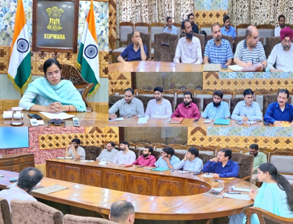 DC Kupwara reviews District Skill Development Plan - Daily Excelsior