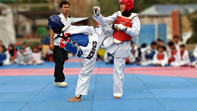 17 players selected for Cadet Nat’l Taekwondo C’ship after trials ...