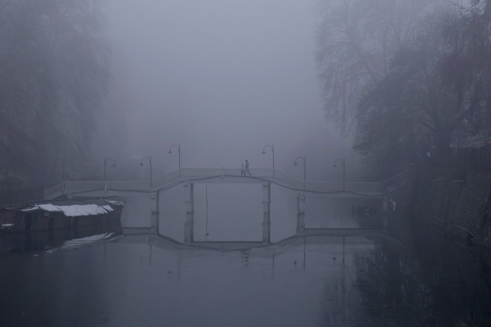 Thick Fog In Parts Of Kashmir, Valley Braces For Widespread Snowfall ...