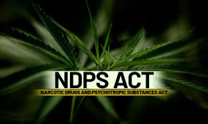 NDPS Court denies bail to Delhi doctor in high-value narcotics case ...