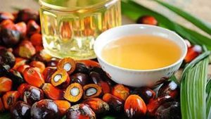 India's vegetable oil imports flat at 16.3 million tonnes in 2024-25 ...