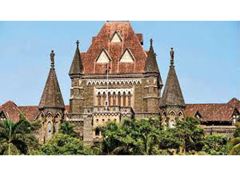 HC converts civil suit on Goa night club tragedy into PIL - Daily Excelsior