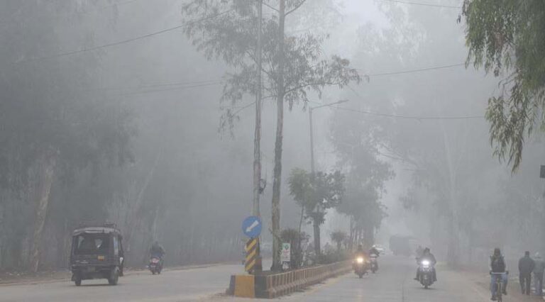 Cold wave shows no mercy for Haryana, Punjab, J-K; rare respite for ...