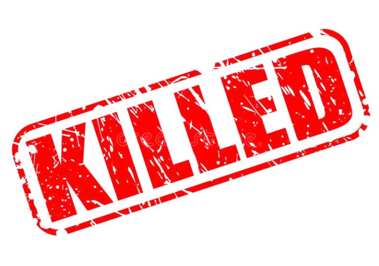 Tipper plunges into gorge, driver killed - Daily Excelsior