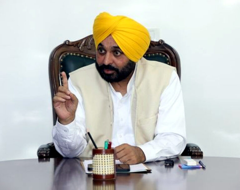 Biogas projects to ensure effective agri waste management: Mann - Daily ...