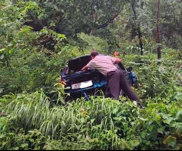 Car plunges into gorge, 5 injured - Daily Excelsior