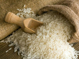 Pak's Sindh province fears low rice production, reduced exports due to ...